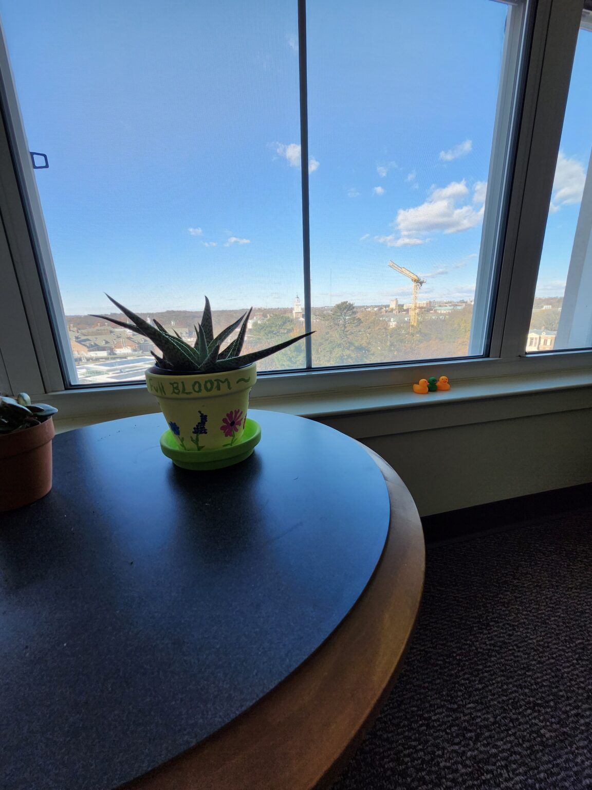 Photo Tour of My Dorm | Johns Hopkins University Admissions